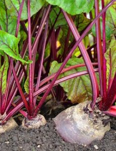 10 Vegetables Highest in Potassium