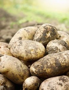 10 Vegetables Highest in Potassium