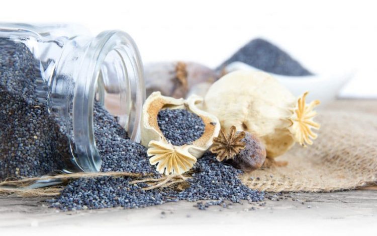 The Top 6 Extraordinary Health Benefits Of Poppy Seeds (+ 6 Easy ...