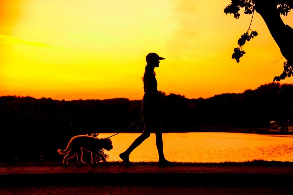 11 Evening 'Wind Down' Rituals For A Good Night Sleep - Healthwholeness