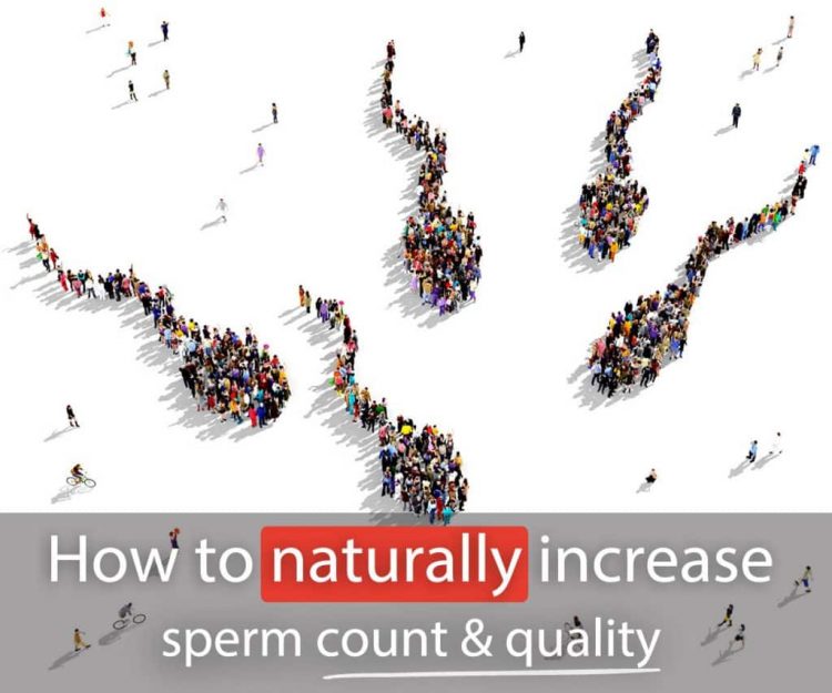 How to Naturally Increase Sperm Count and Quality - Healthwholeness