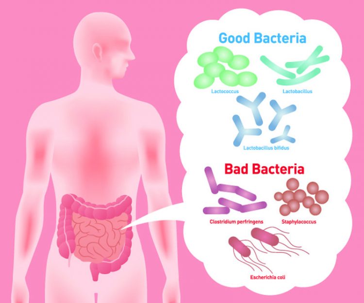 Causes of Candida Yeast Overgrowth + How To Fight It