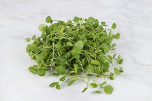 Vegetables High in Protein: 19 Veggies and Fruits and How to Eat More ...